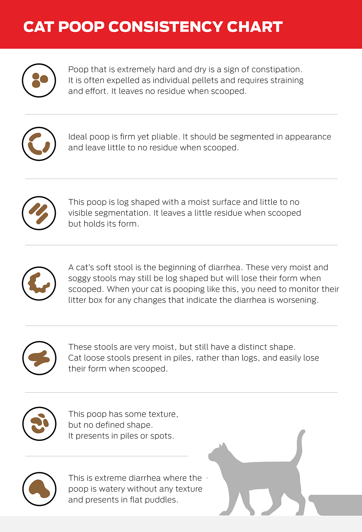 Light Brown Spots Appearing On Legs Of Cats Meaning Infoupdate