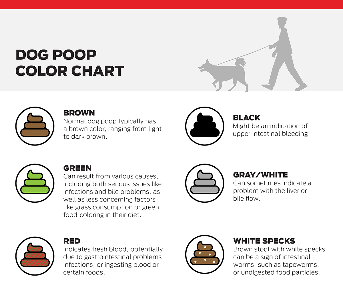 What Is The Color Of Your Stool If You Have Colon Cancer In Dogs What Is The Color Of Your Stool If You Have Colon Cancer In Dogs